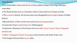 Prest condition of surma river and identifying the possible management ...