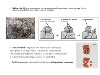 Procesos geológicos externos(18-19) | PPT