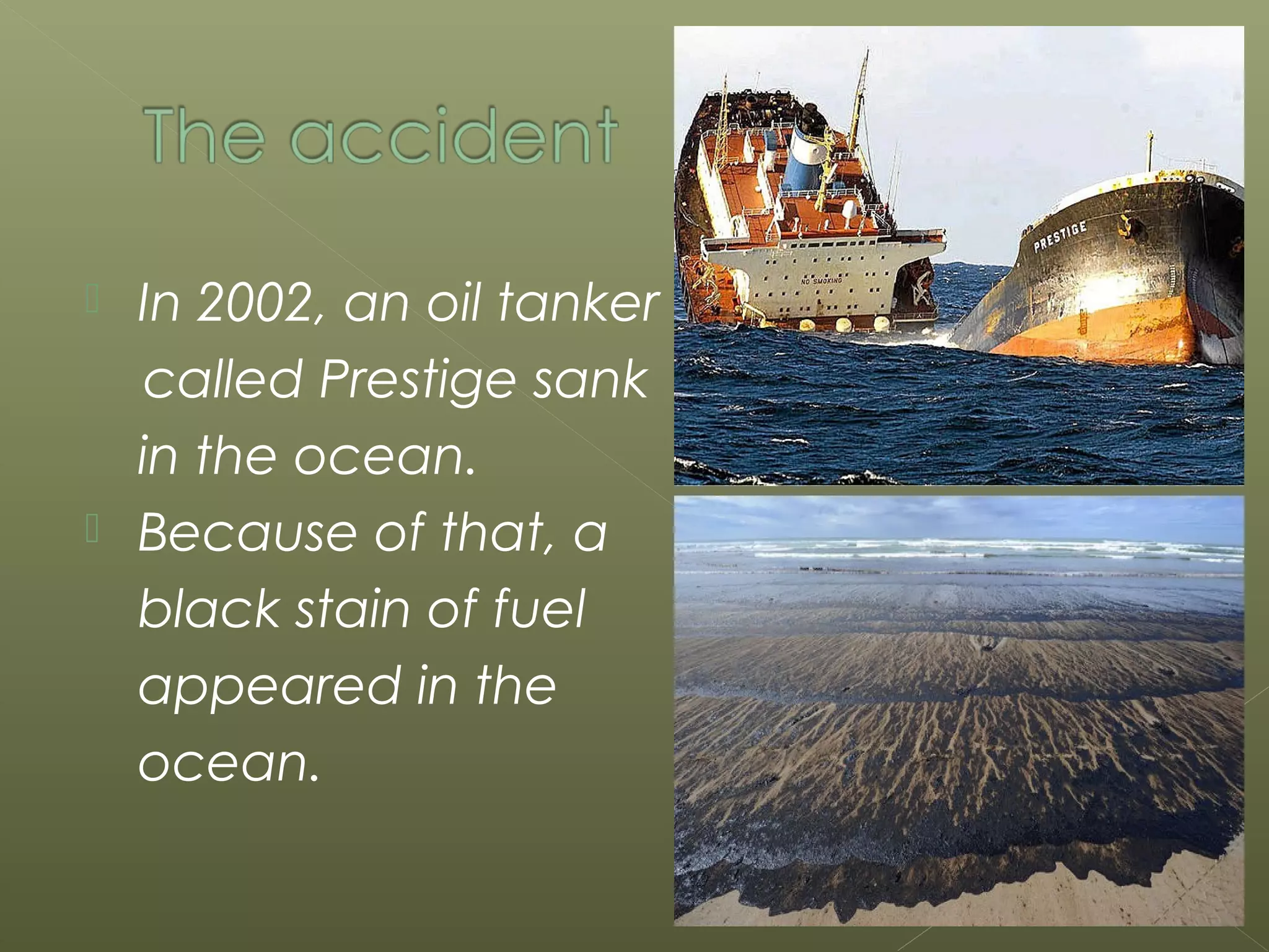 Prestige Disaster | PPT