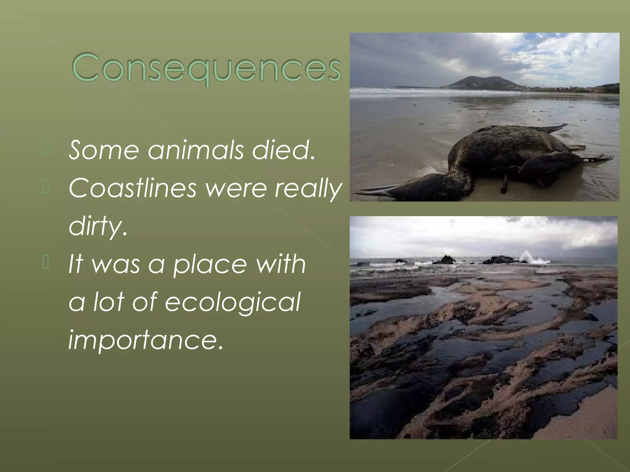 Prestige Disaster | PPT