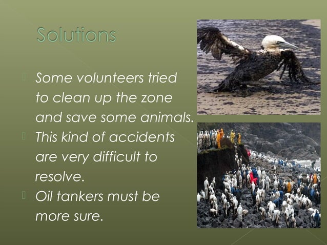 Prestige Disaster | PPT