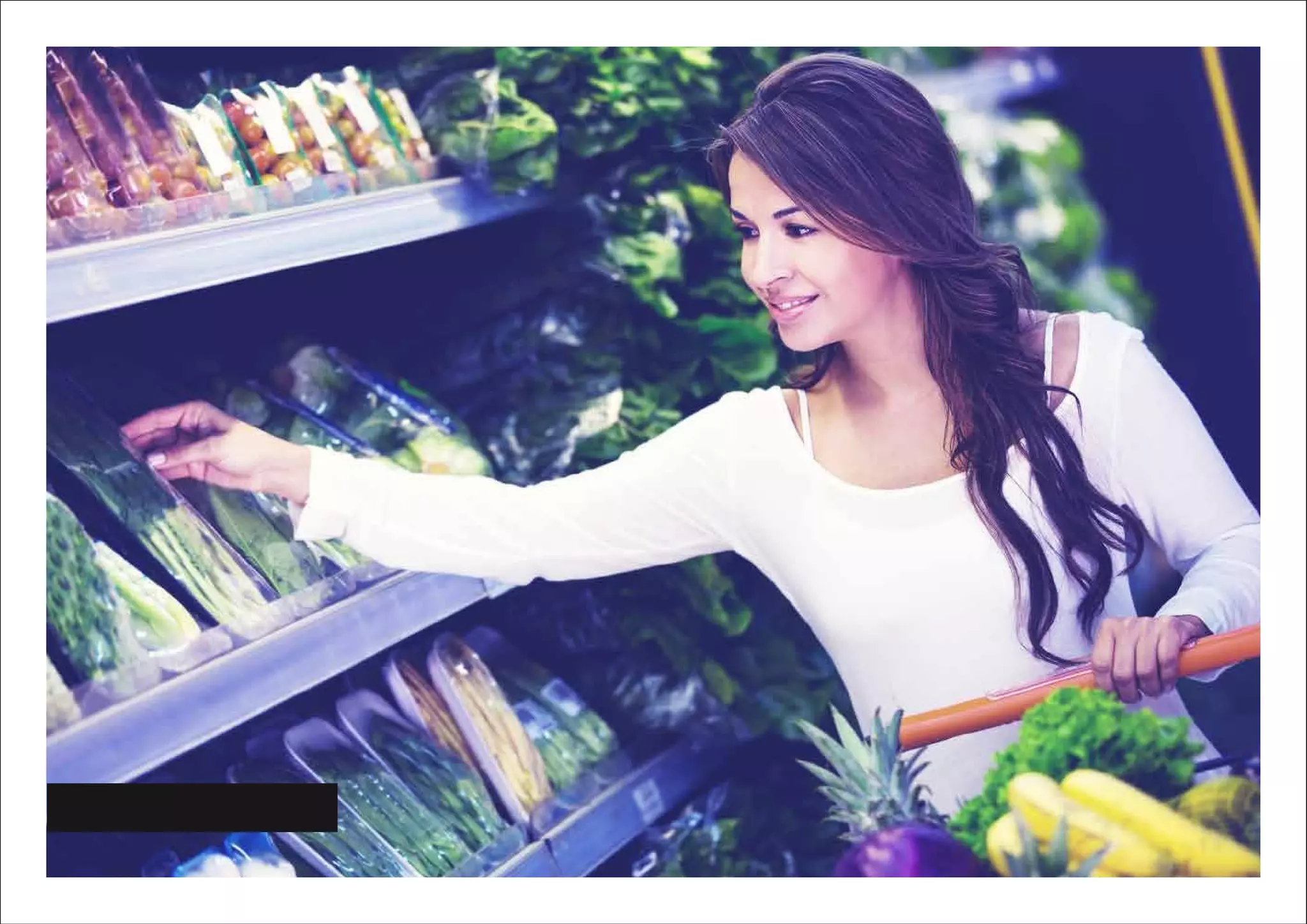 Prestige City Wing Budvel Hyderabad-E-Brochure.pdf.pdf