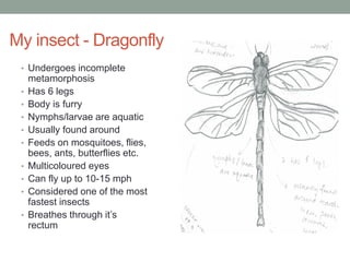 ENBE Project One Powerpoint | PPT