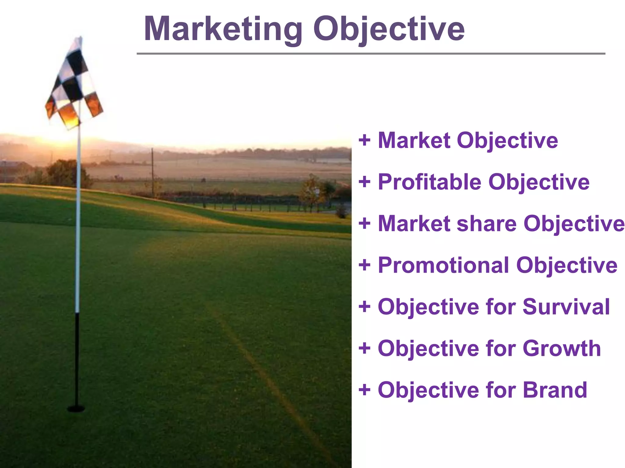 Prestudy marketing plan_objective_product | PPT