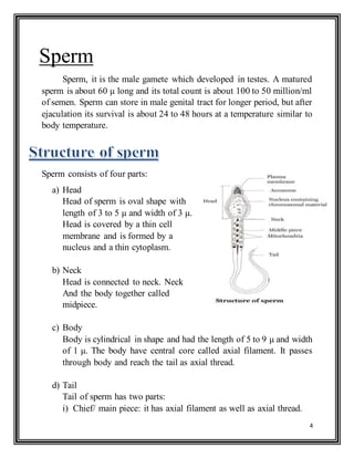 Presumptive test for seminal fluid | DOCX