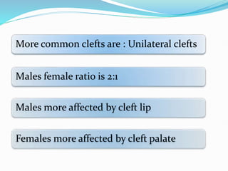 Pre surgical orthopedics in cleft patients .pptx