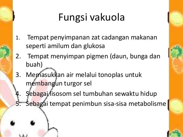 Pres Vakuola