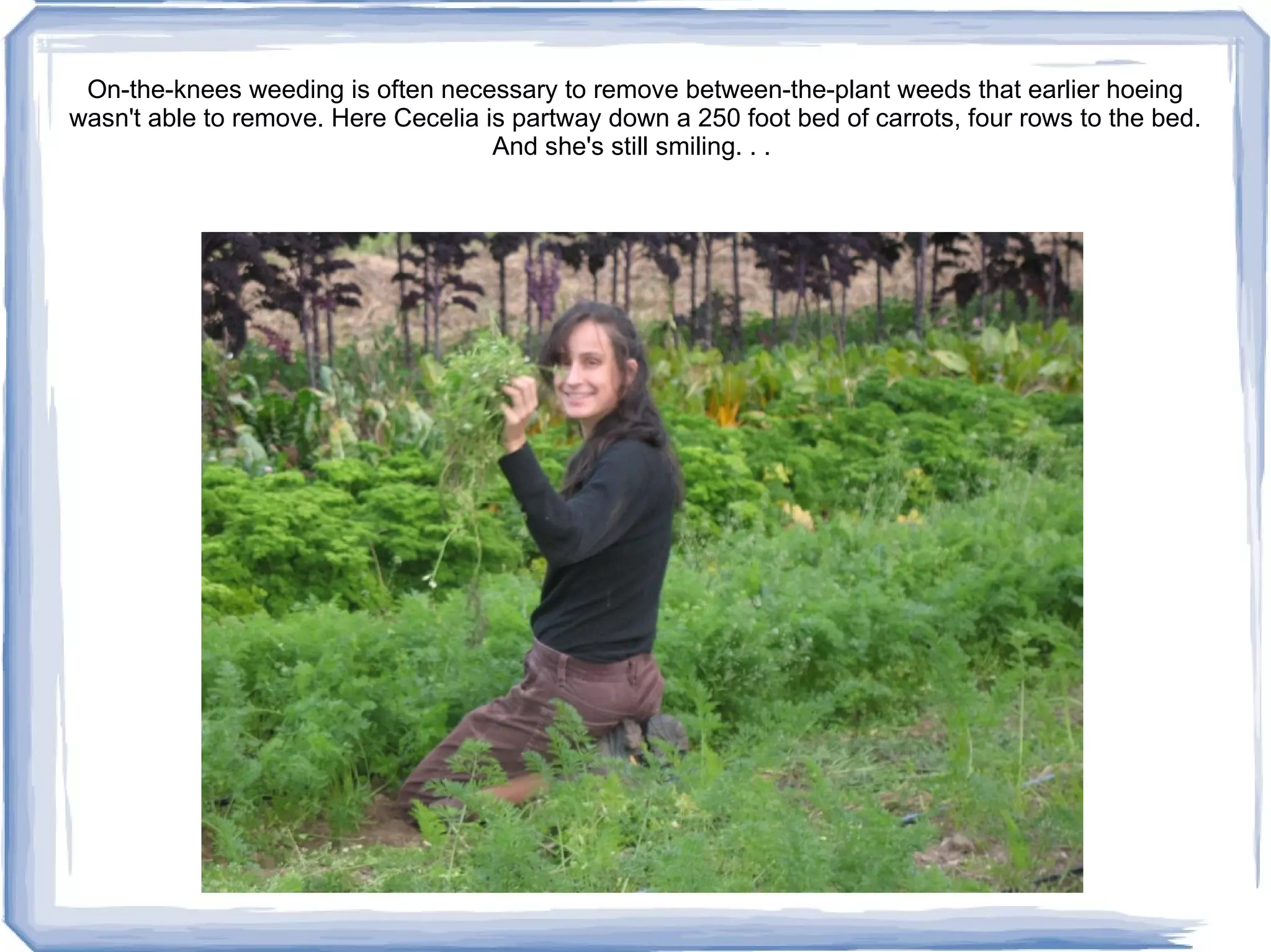 Weeding techniques | ODP