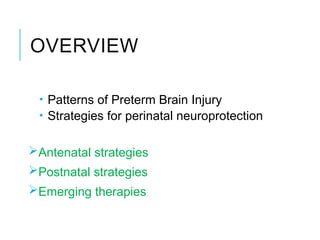 Preterm brain protection strategies.pptx