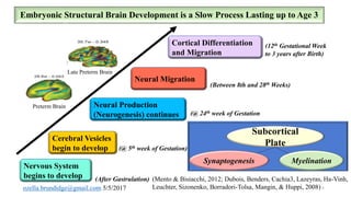 Preterm growth and development | PPTX
