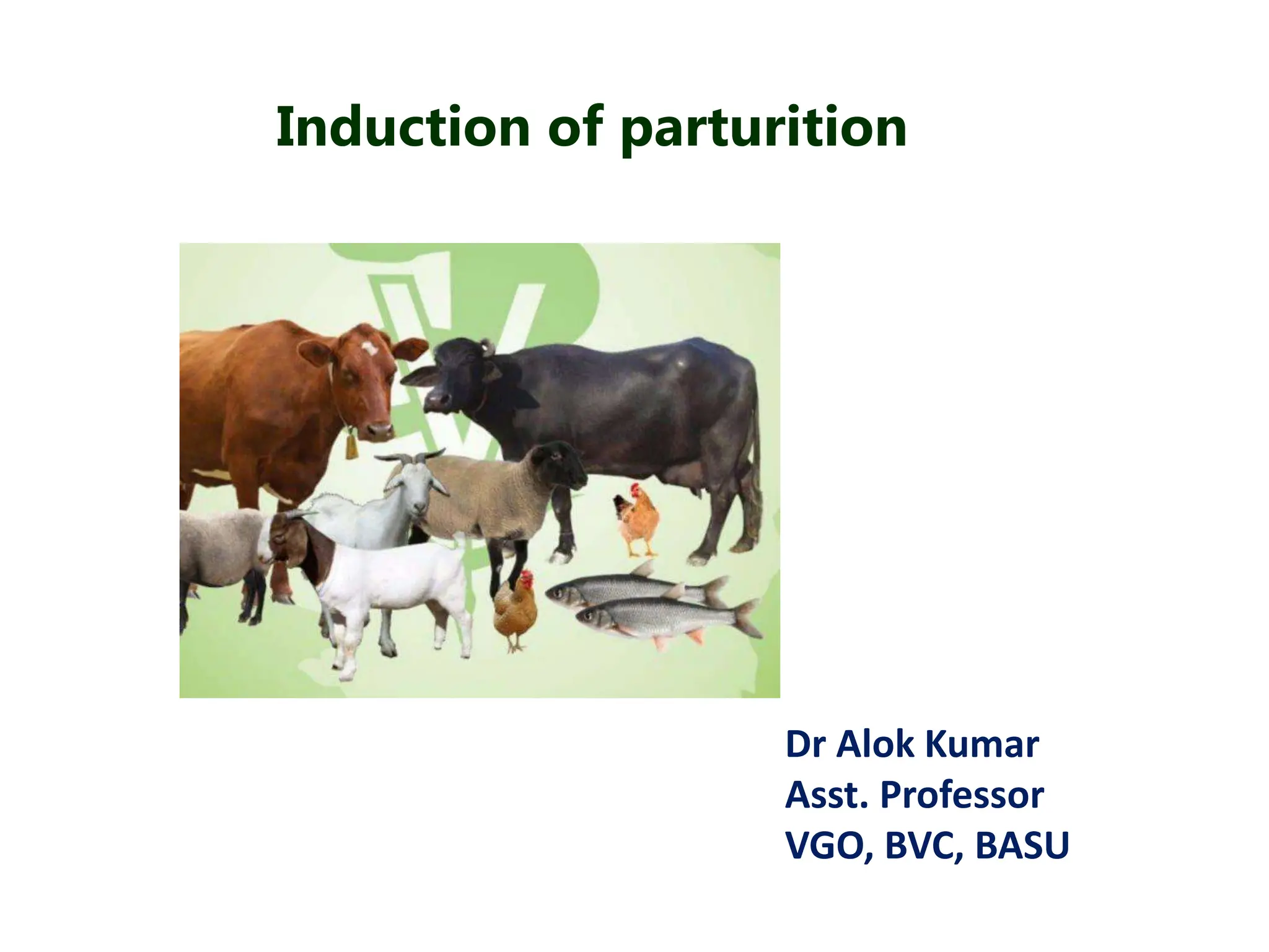 Preterm_induction_of_parturition in animals | PPTX