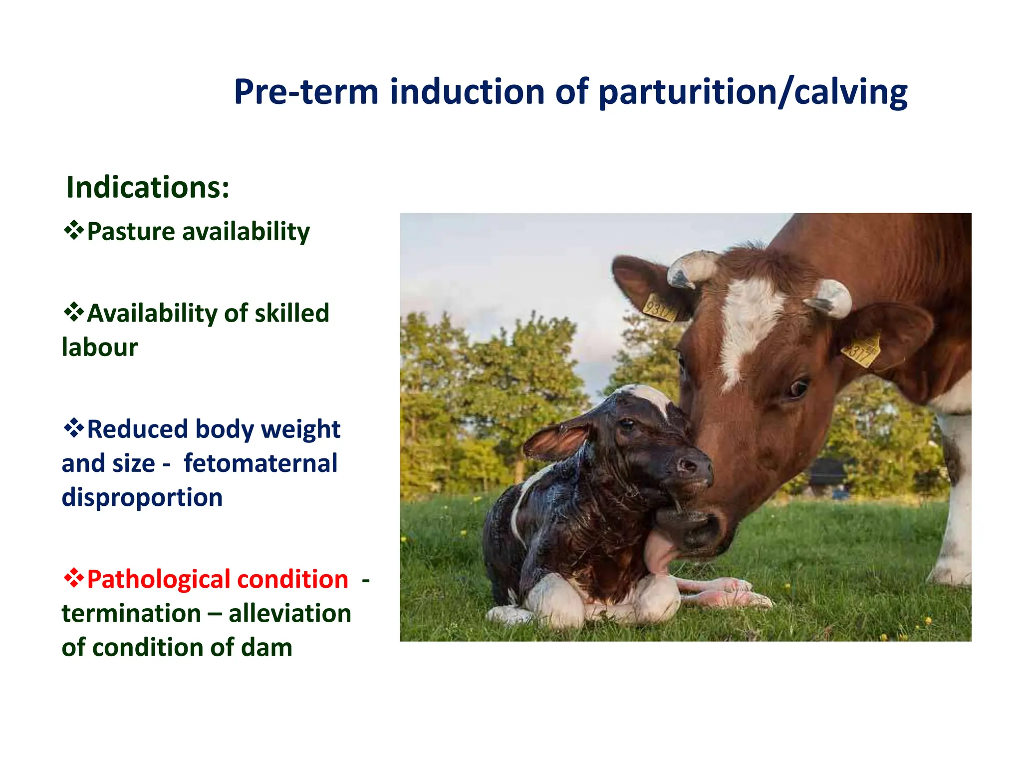 Preterm_induction_of_parturition in animals | PPTX