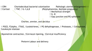 Management of Preterm labor | PPTX