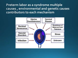 PRETERM LABOR.pptx