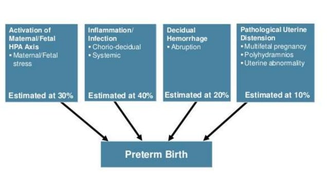 Preterm Labor 2021 Update | PPTX | Pregnancy | Reproductive Health
