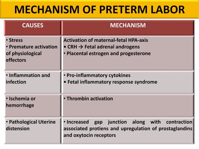 PRETERM LABOUR | PPTX