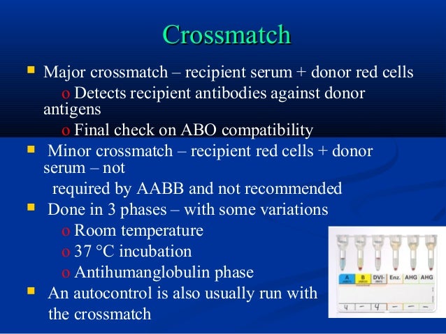 Pre transfusion testing, dr. rafiq