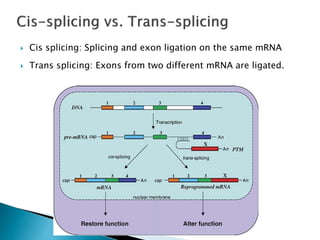 Pre trans splicing gene therapy | PPTX