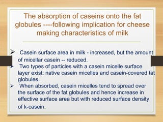 Pretreatment_Cheese.pptx