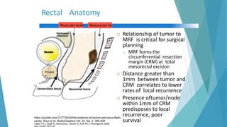 Staging and Diagnostic approach of rectal cancer | PPTX