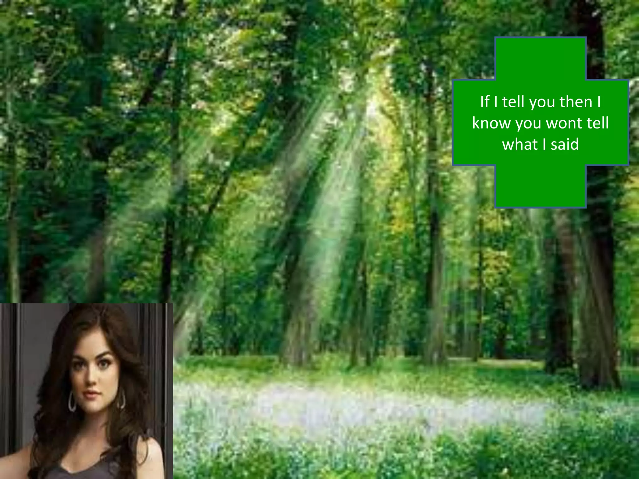 Pretty little liars kjohnson | PPTX | Young Adult | Genres