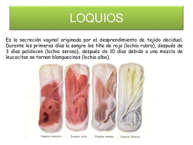 Preuperio fisiologico y patologico