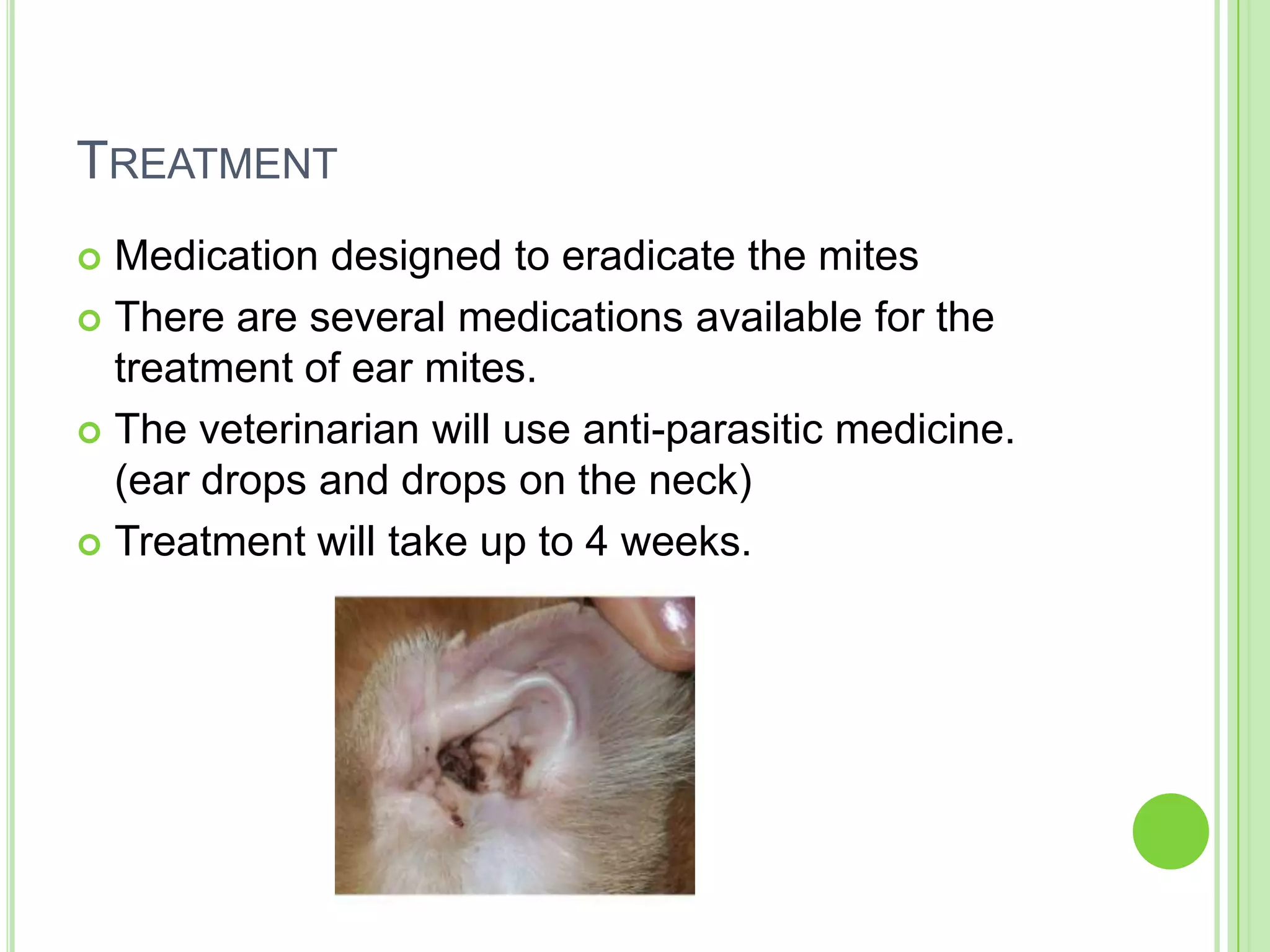 Prevalence and intensity of otodectes cynotis in cats | PPT