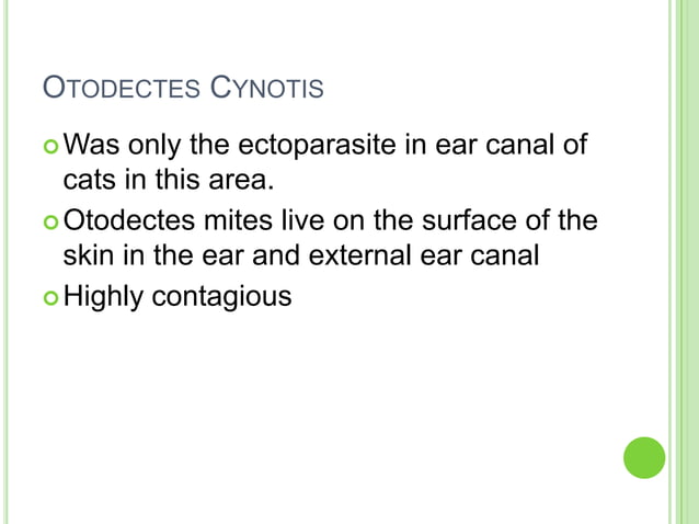 Prevalence and intensity of otodectes cynotis in cats | PPT