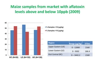 Prevalence of aflatoxin along the maize value chain in kenya | PDF