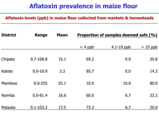 Prevalence of aflatoxins in Zambian maize and groundnuts | PPT