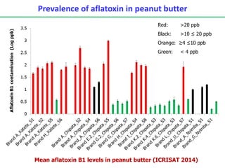 Prevalence of aflatoxins in Zambian maize and groundnuts | PPT