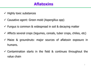 Prevalence of aflatoxins in Zambian maize and groundnuts | PPT