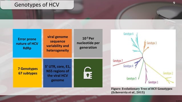 Prevalence of HCV genotypes in Punjab, Pakistan | PPT