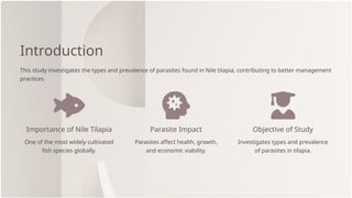 Prevalence of Parasite in Nile Tilapia.pptx