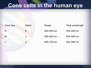 Prevalence of red green color vision defects | PPT