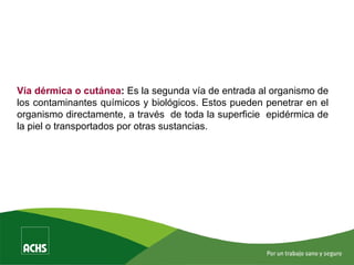 Prevencion-de-Riesgos-en-El-Uso-de-Plaguicidas-p.ppt