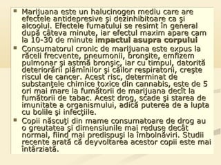 Prevenirea consumului de droguri | PPT