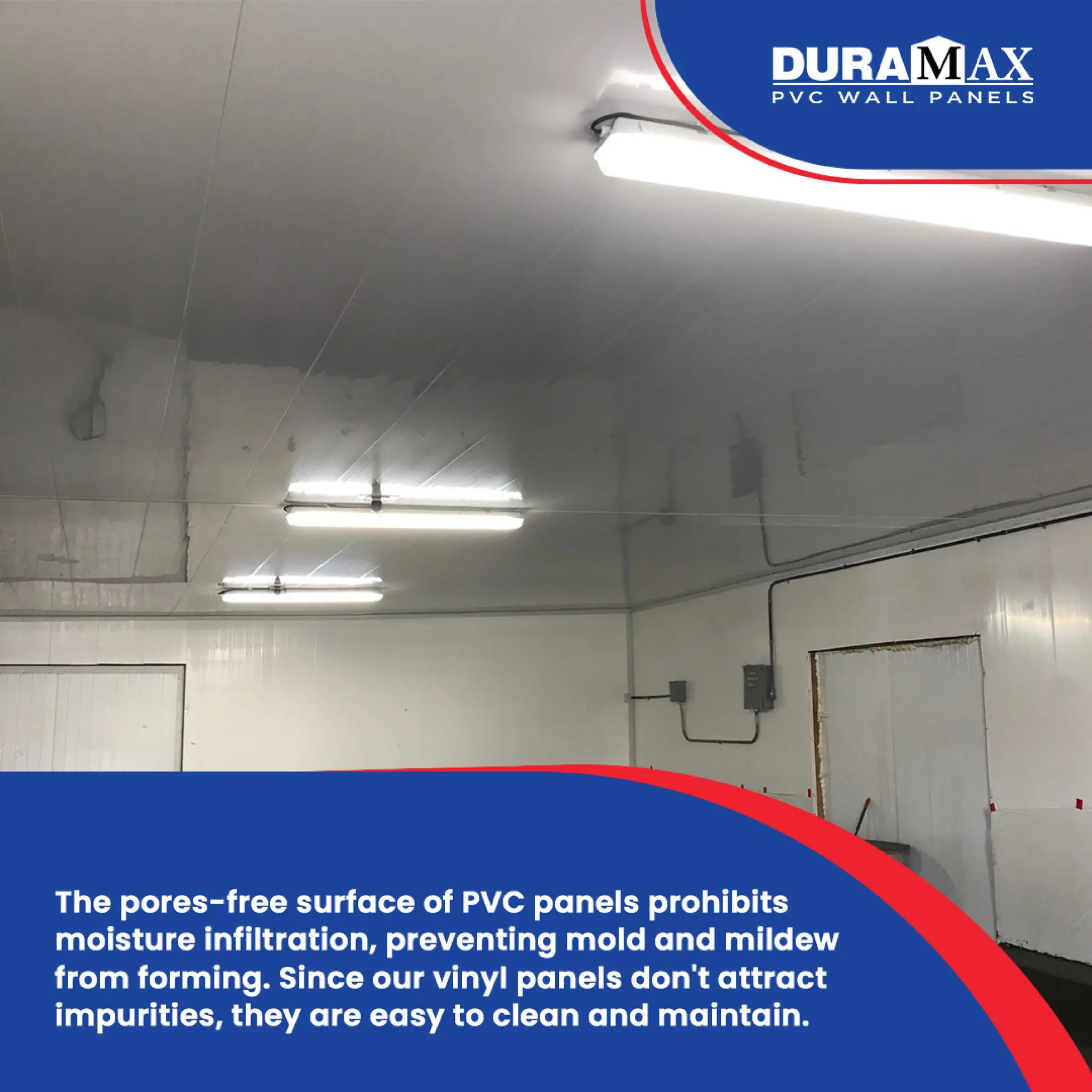 Prevent-Mold-Infestation-Inside-Warehouses-with-Moisture-Resistant ...