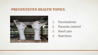 Preventative health | PPT