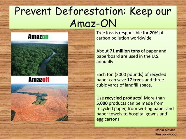 Prevent Deforestation: Keep Our Amaz-ON | PPTX
