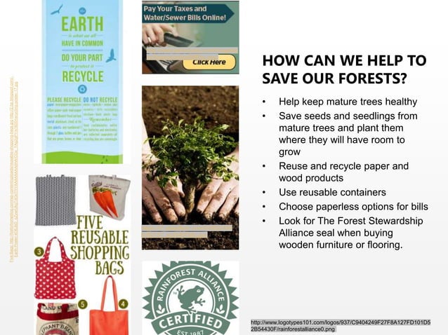 Prevent Deforestation | PPT