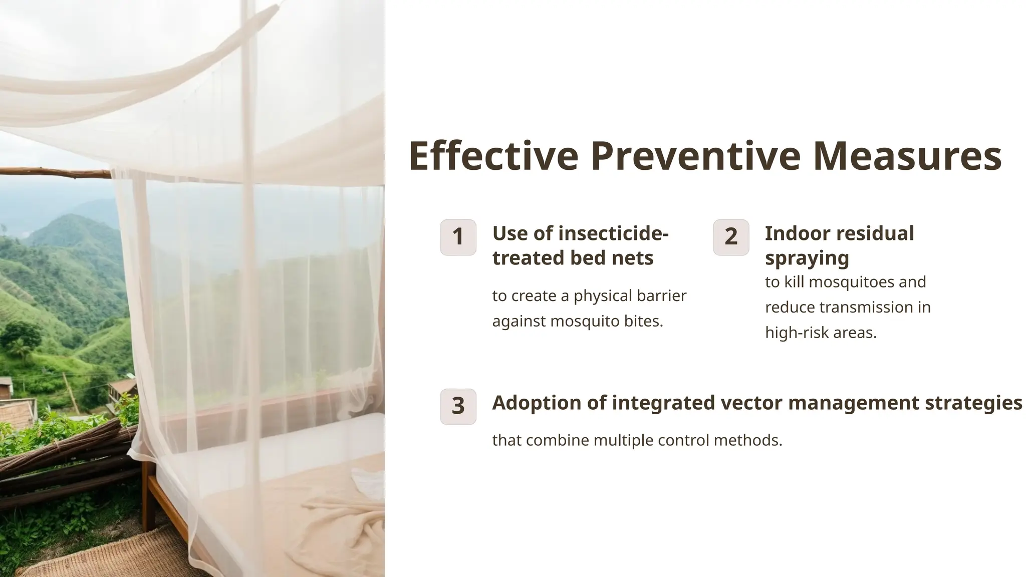 Preventing-Malaria-A-Global-Health-Imperative.pptx
