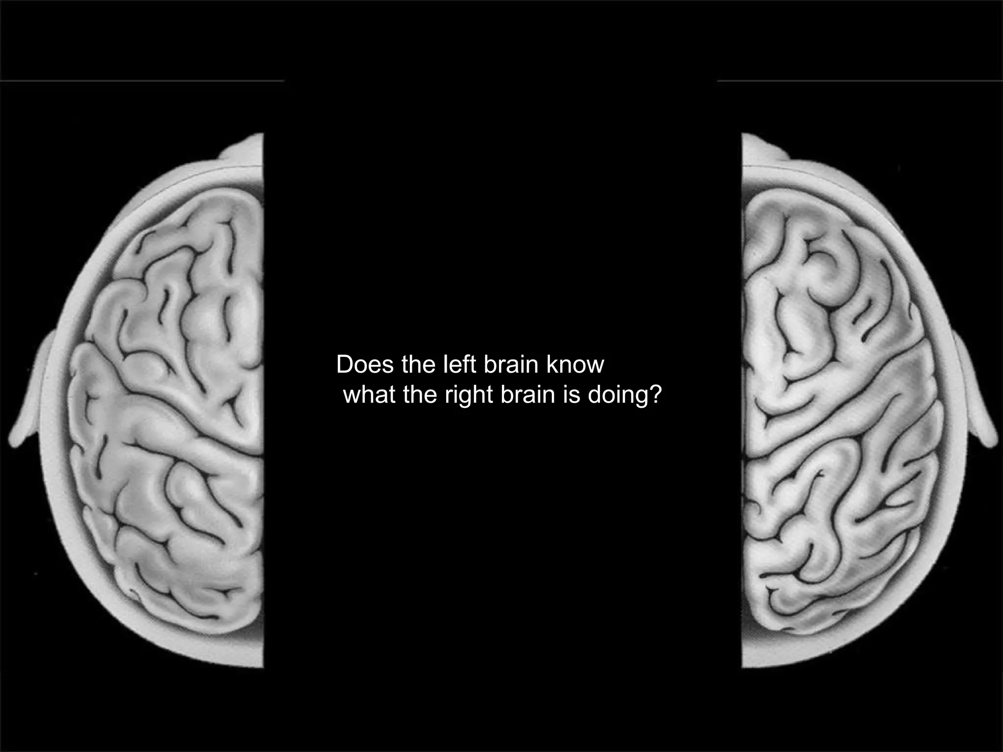 Preventing Brand Failure | PPT | Recalls | Consumer Issues