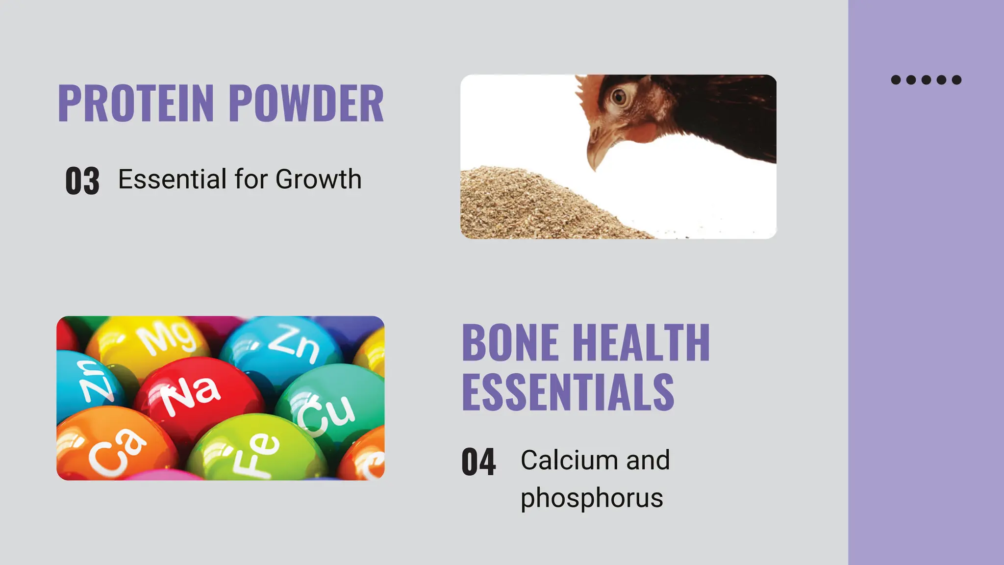 Preventing Common Nutritional Deficiencies In Poultry Flocks (PPT).pdf ...