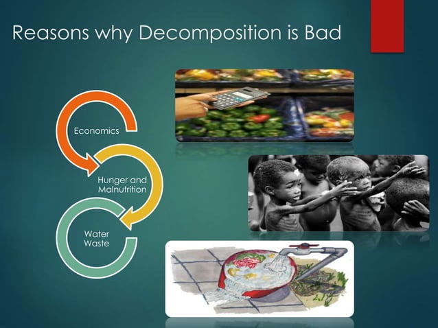 Preventing food decomposition during transportation | PPTX | Food ...