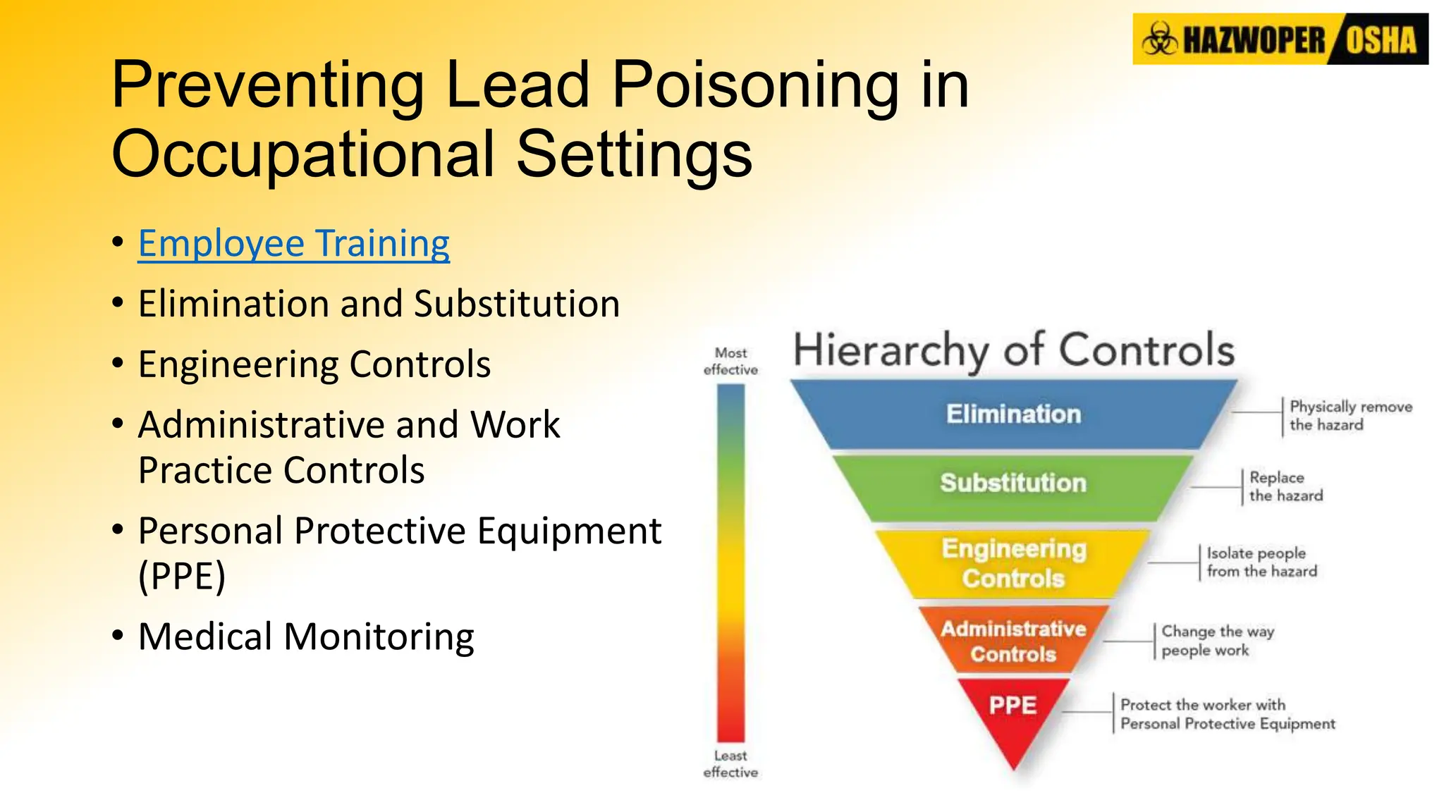 Preventing Lead Poisoning in Occupational Settings (SK23.10.2023).pdf