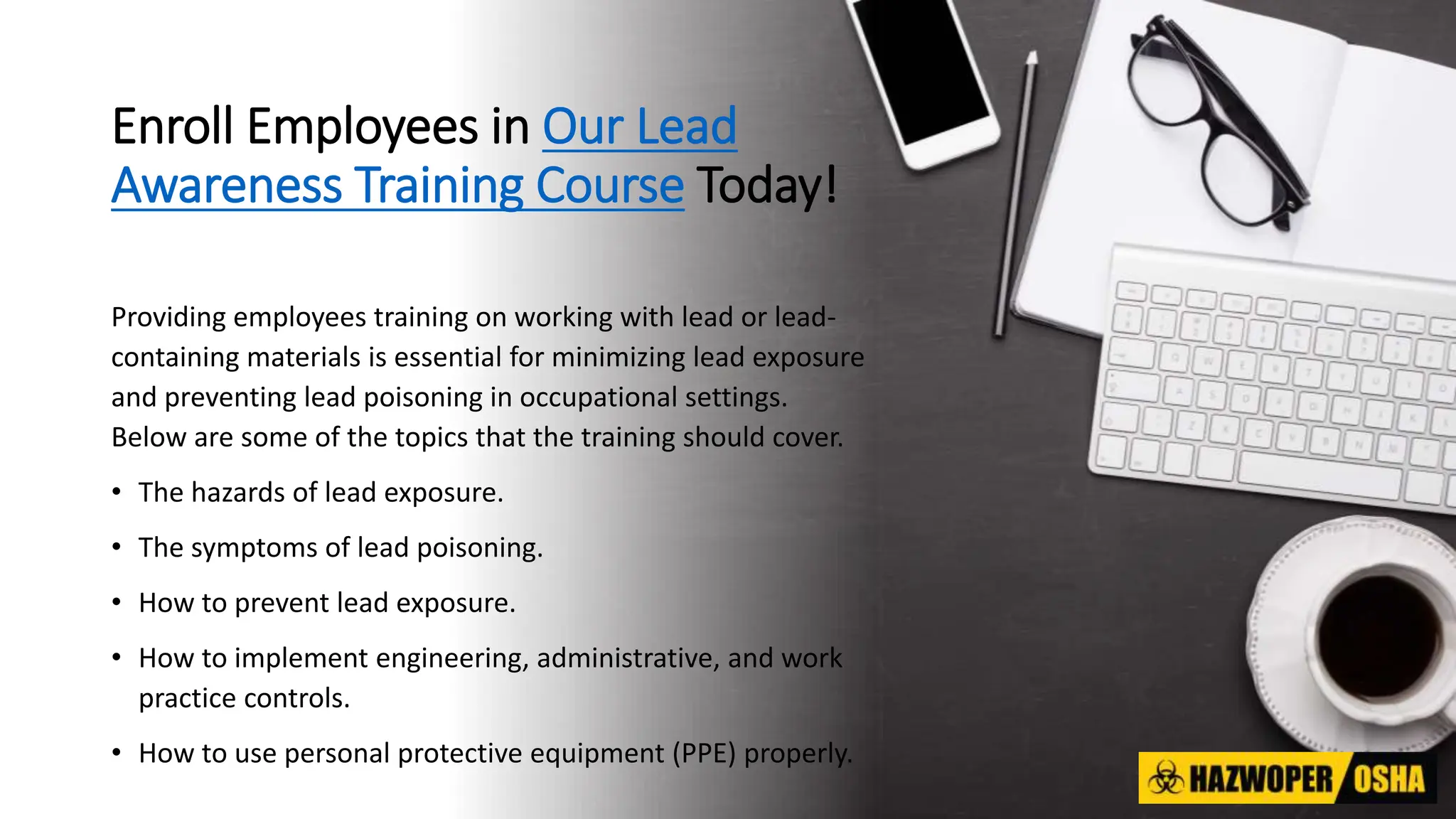 Preventing Lead Poisoning in Occupational Settings (SK23.10.2023).pdf