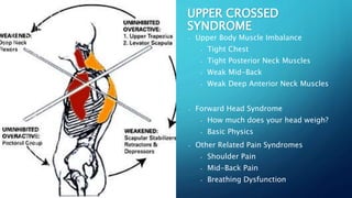 Preventing Neck and Upper Back Pain | PPTX | Physical Therapy | Wellness