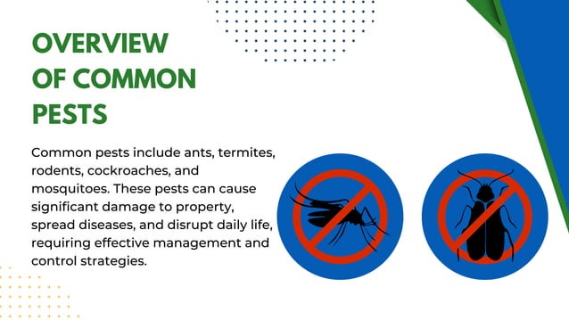 Preventing Pests Naturally Eco-Friendly Tips for a Safe Home | PPT