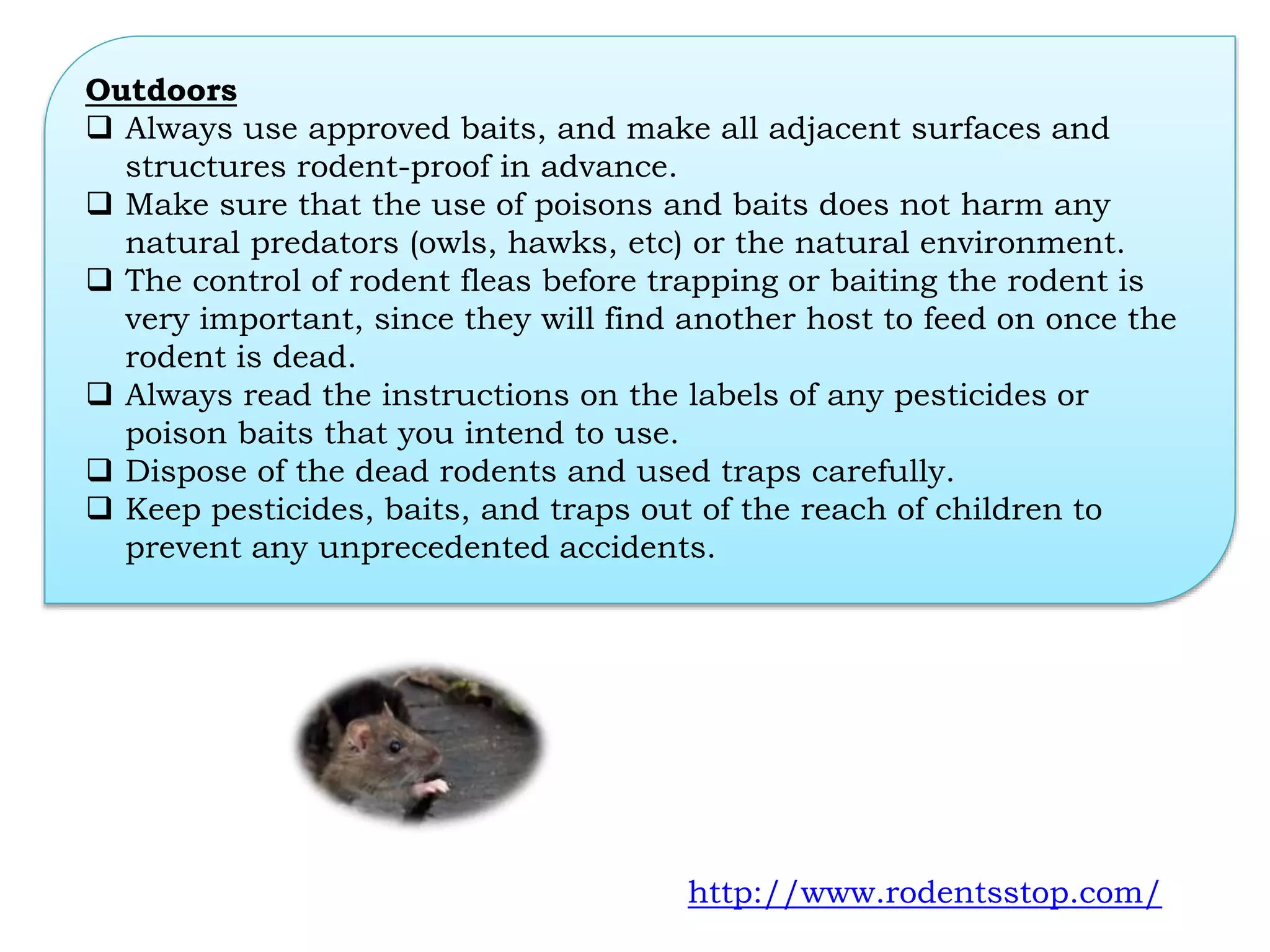 Preventing Rodent Infestation | PPTX